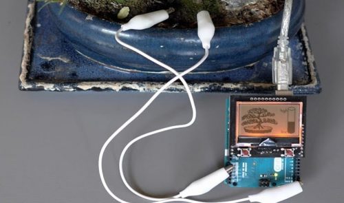 Bonsai Watchdog, un proyecto con Arduino para bonsáis